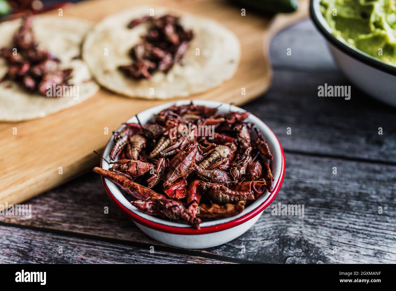 grasshoppers or chapulines snack. Traditional mexican food from Oaxaca ...