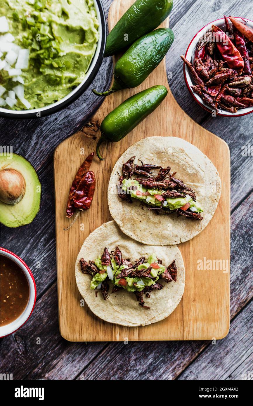 tacos de chapulines or grasshopper taco traditional in mexican food ...