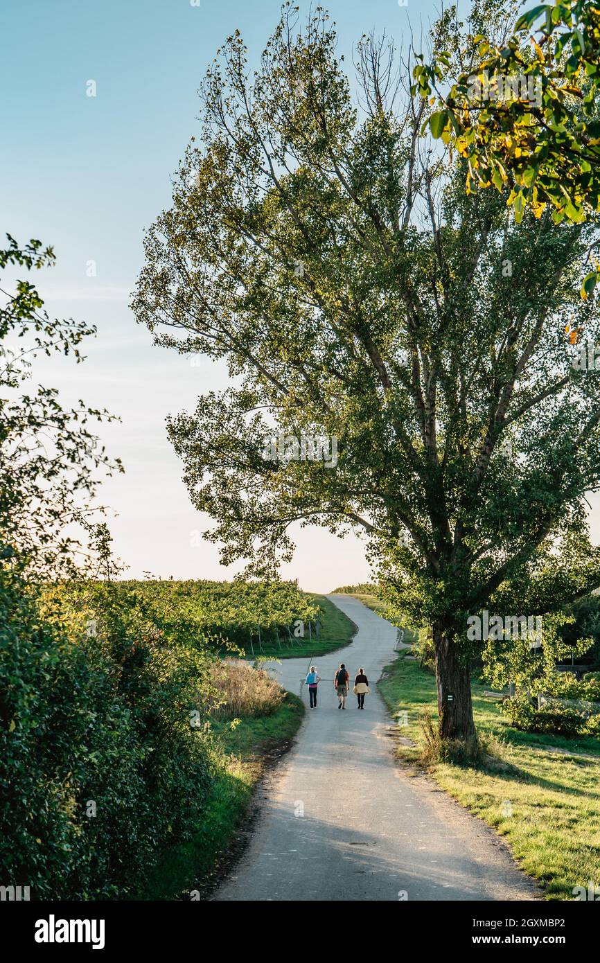 Rear view of group of three friends walking in Czech countryside ...