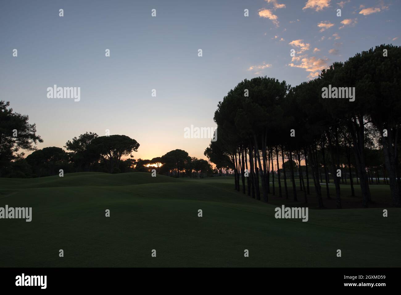 golf course landscape at beautiful sunset Stock Photo - Alamy