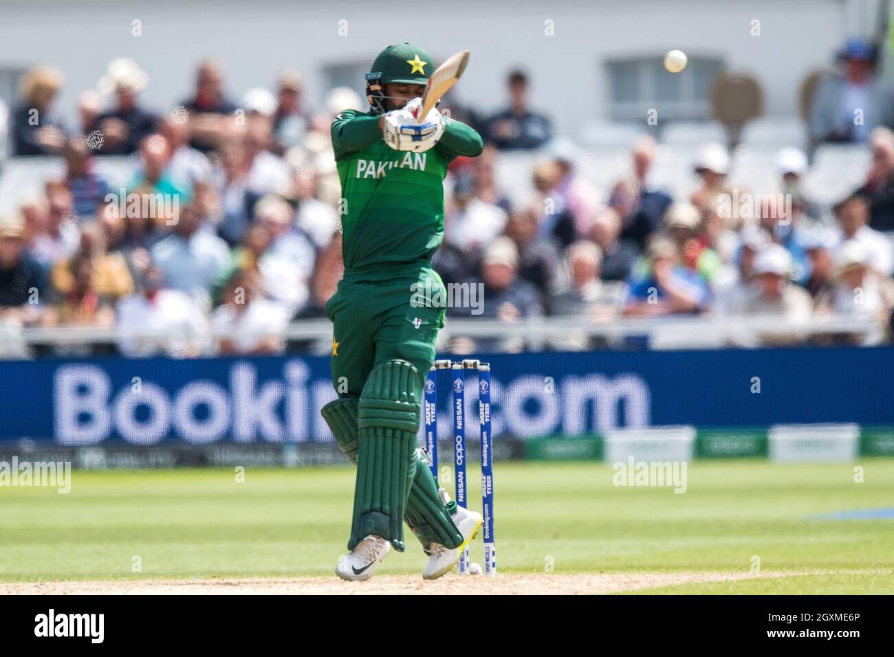 Mohammad Hafeez Batting