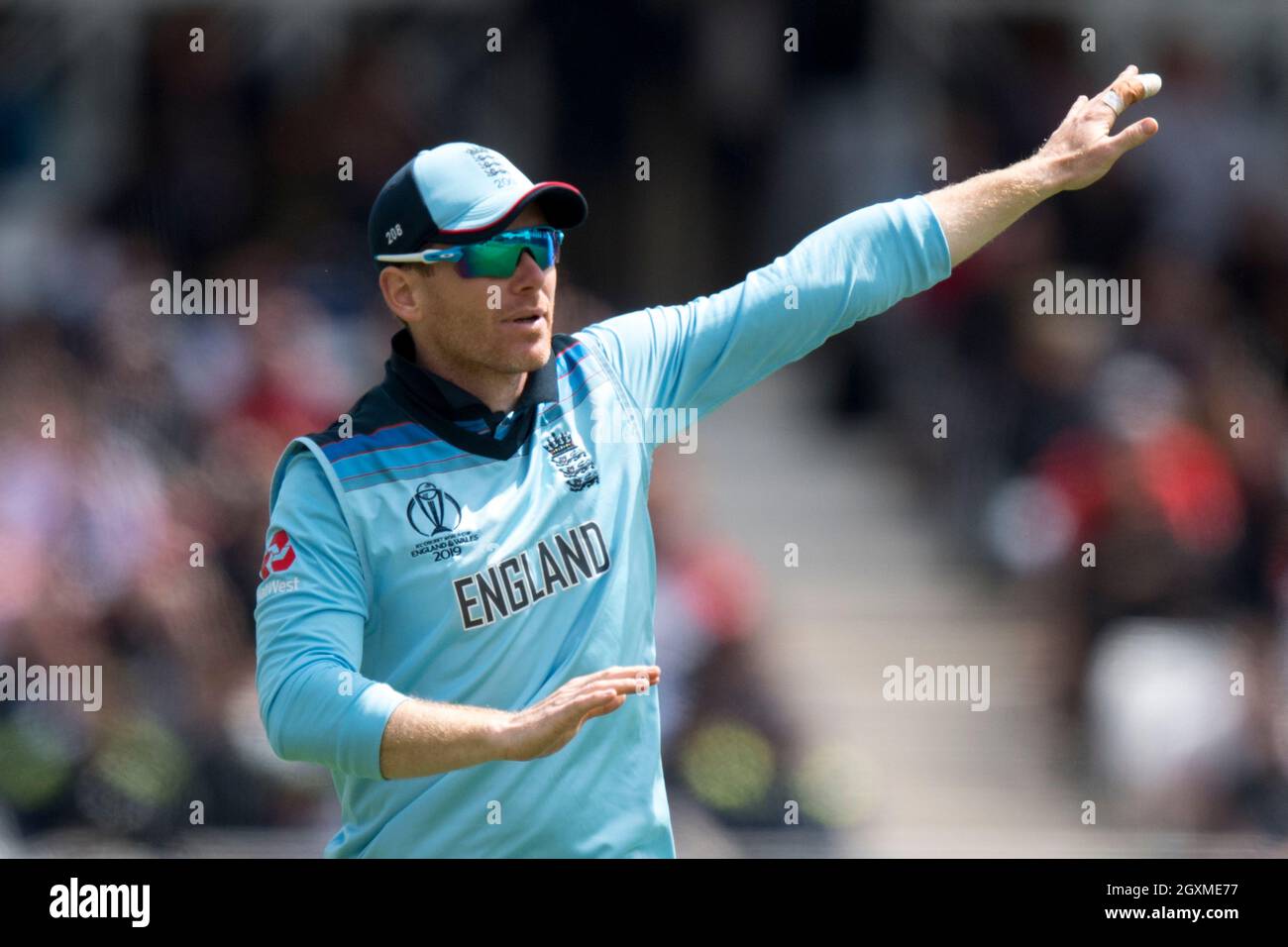 Eoin morgan world cup hi-res stock photography and images - Alamy