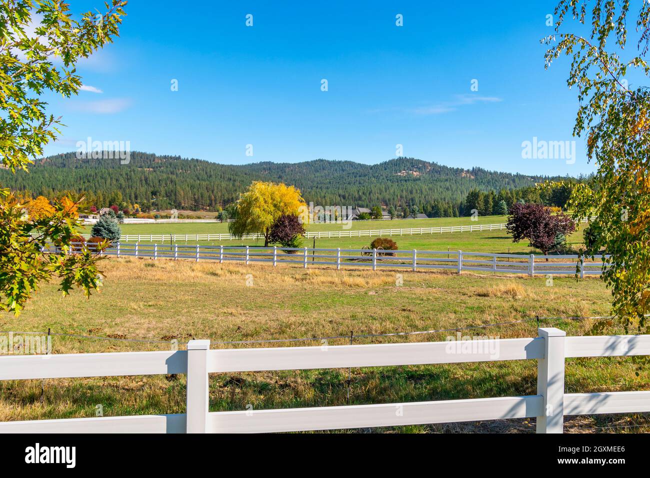 Green Bluff Orchards Spokane Washington