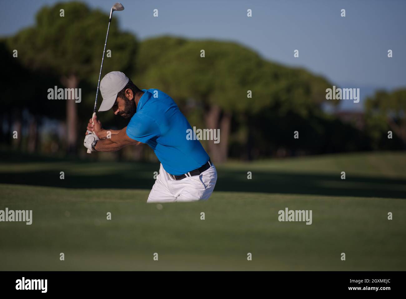 pro golf player shot ball from sand bunker at course Stock Photo - Alamy