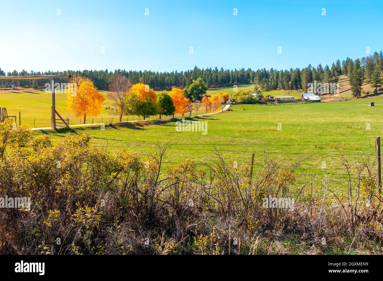 Ranch with green hi-res stock photography and images - Alamy