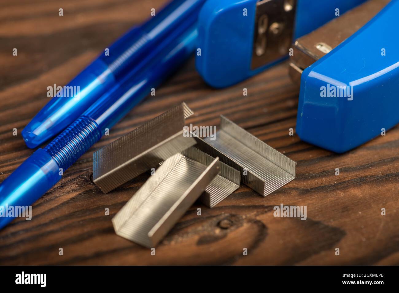 Stationery stapler, stapler staples, close-up selective focus Stock ...