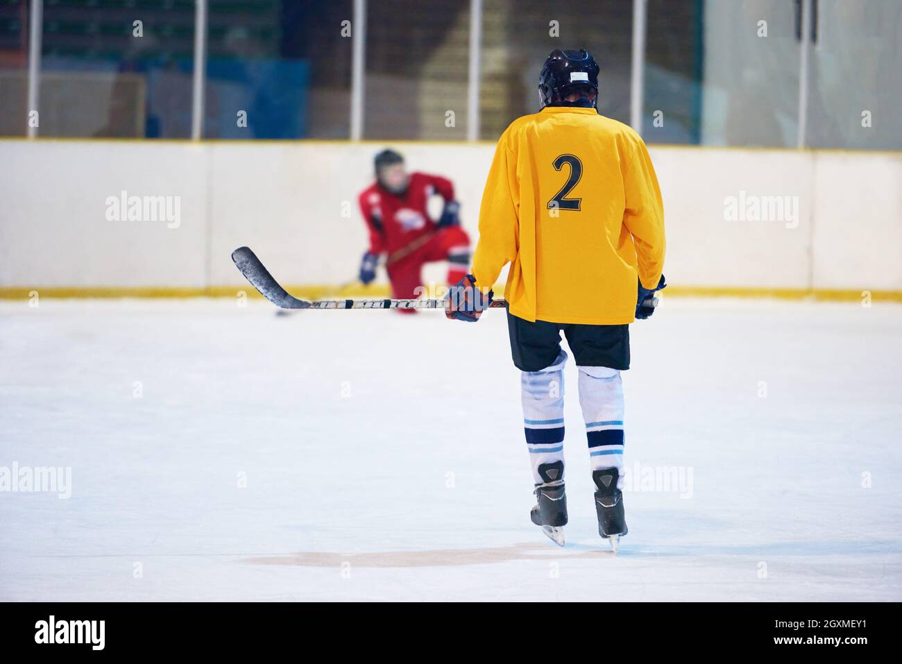 ice hockey player in action kicking with stick Stock Photo - Alamy