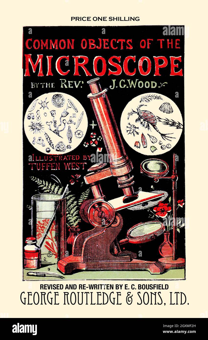 Common Objects of the Microscope Stock Photo - Alamy