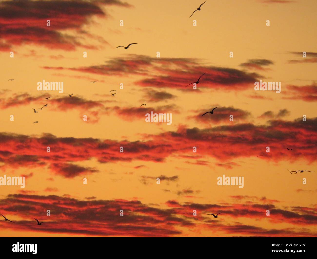 Beautiful photo of a sunset with nice color in the clouds Stock Photo ...