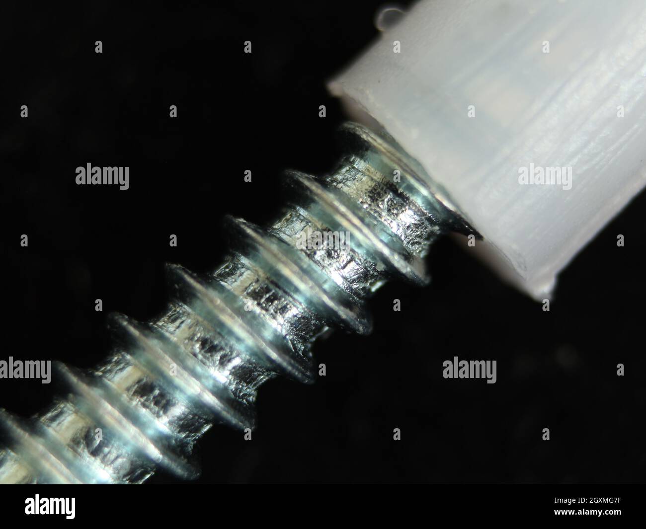 Steel Wood screw wood screws screw press hard Stock Photo - Alamy