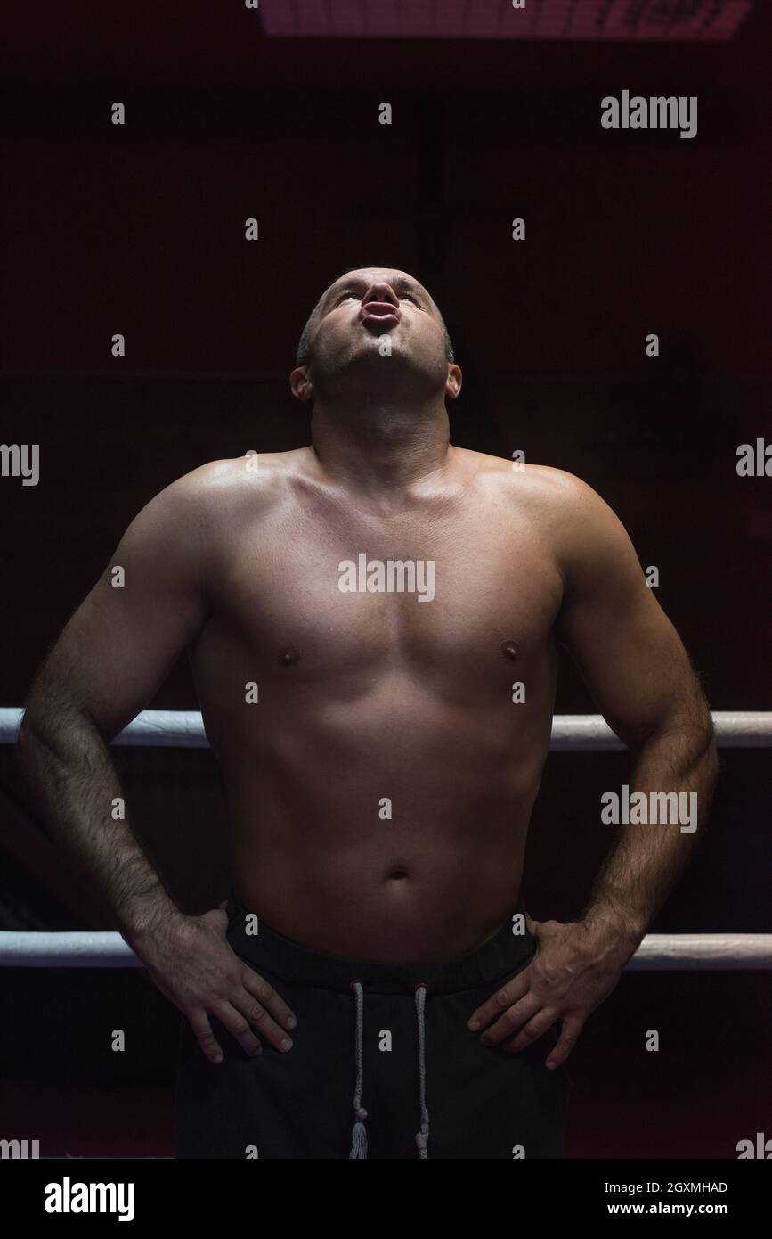 portrait of muscular professional kickboxer who standing in the ring ...