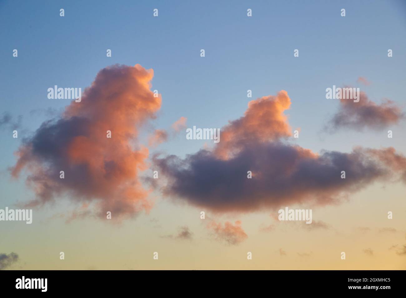 Pink and gold clouds at sunset or sunrise Stock Photo - Alamy