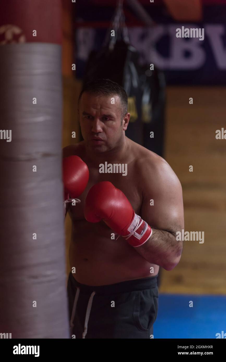 professional muscular kick boxer training on a punching bag while ...