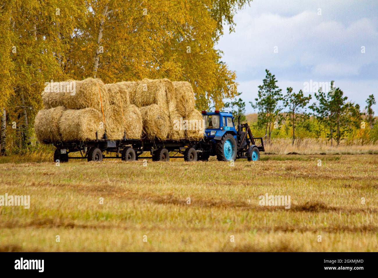Empty tractor farm hi-res stock photography and images - Alamy