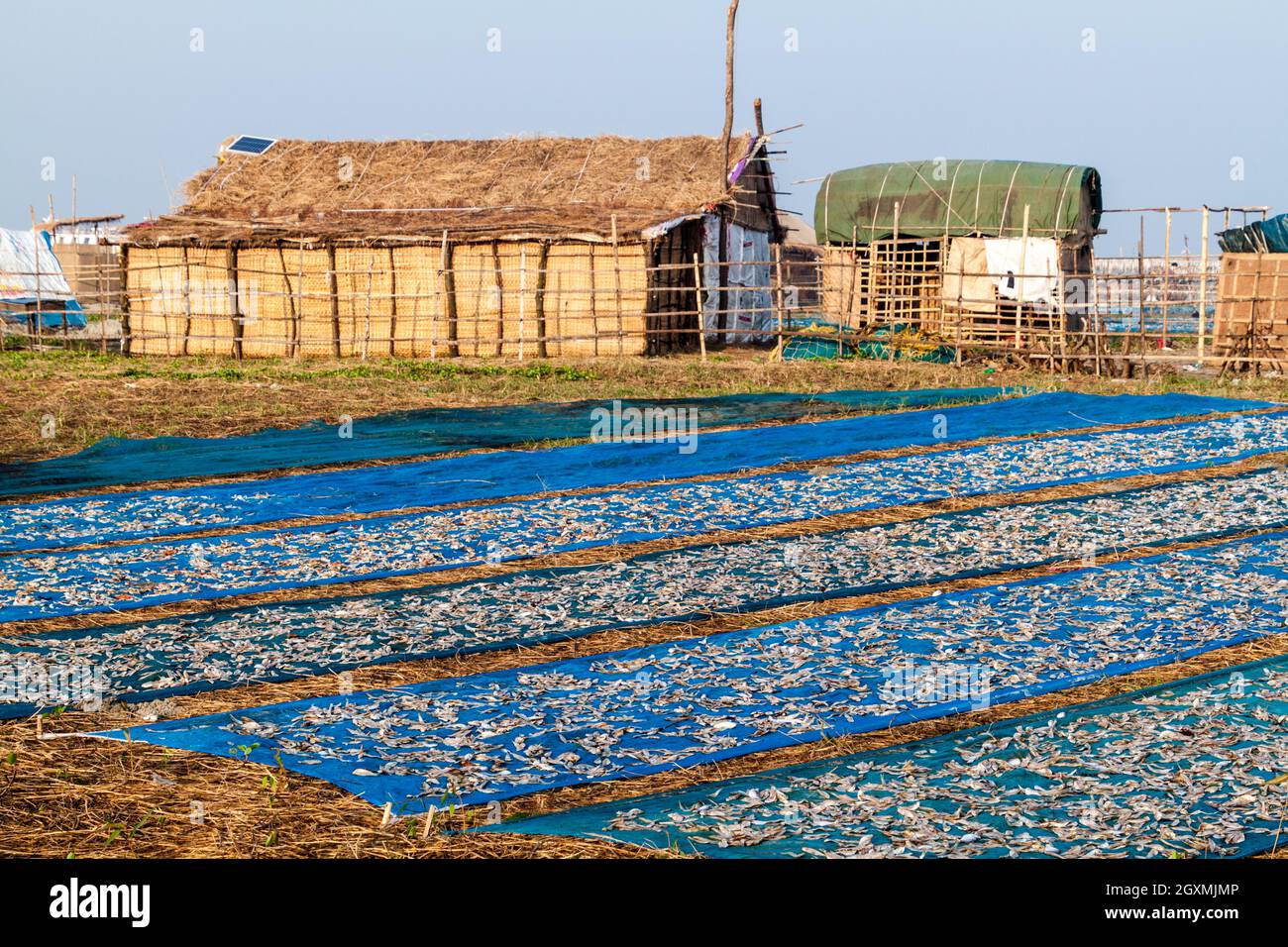 Dublar hi-res stock photography and images - Alamy