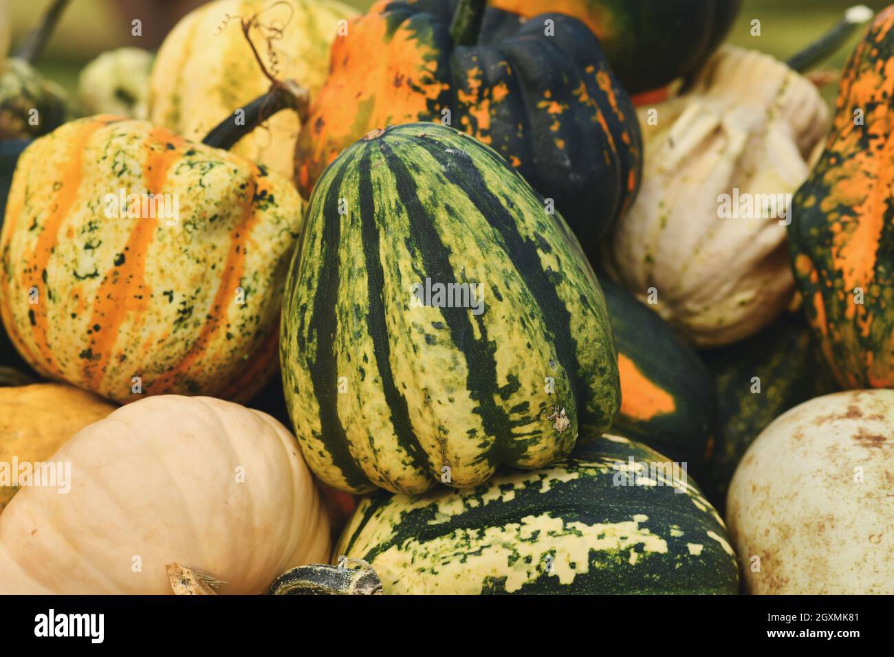 Herlekin hi-res stock photography and images - Alamy