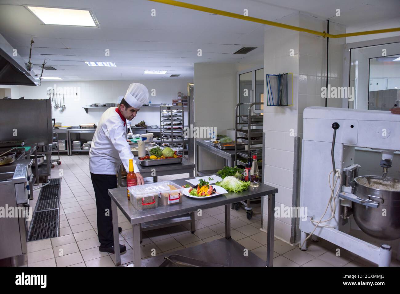 Professional team cooks and chefs preparing meals at busy hotel or ...