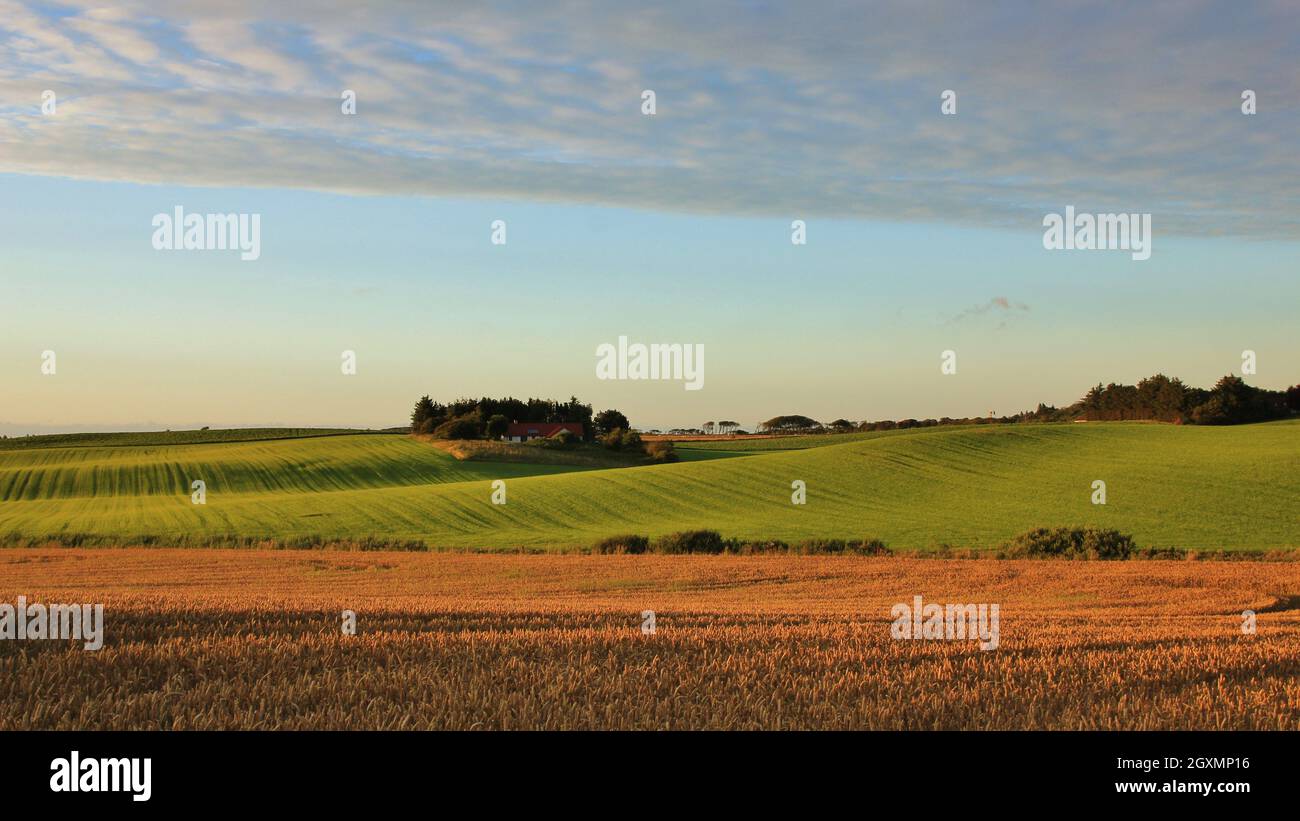 Beautiful shaped meadow and field Stock Photo - Alamy