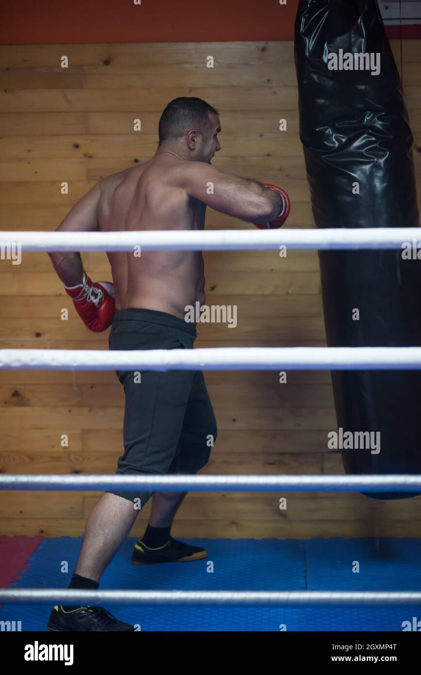 professional muscular kick boxer training on a punching bag while ...