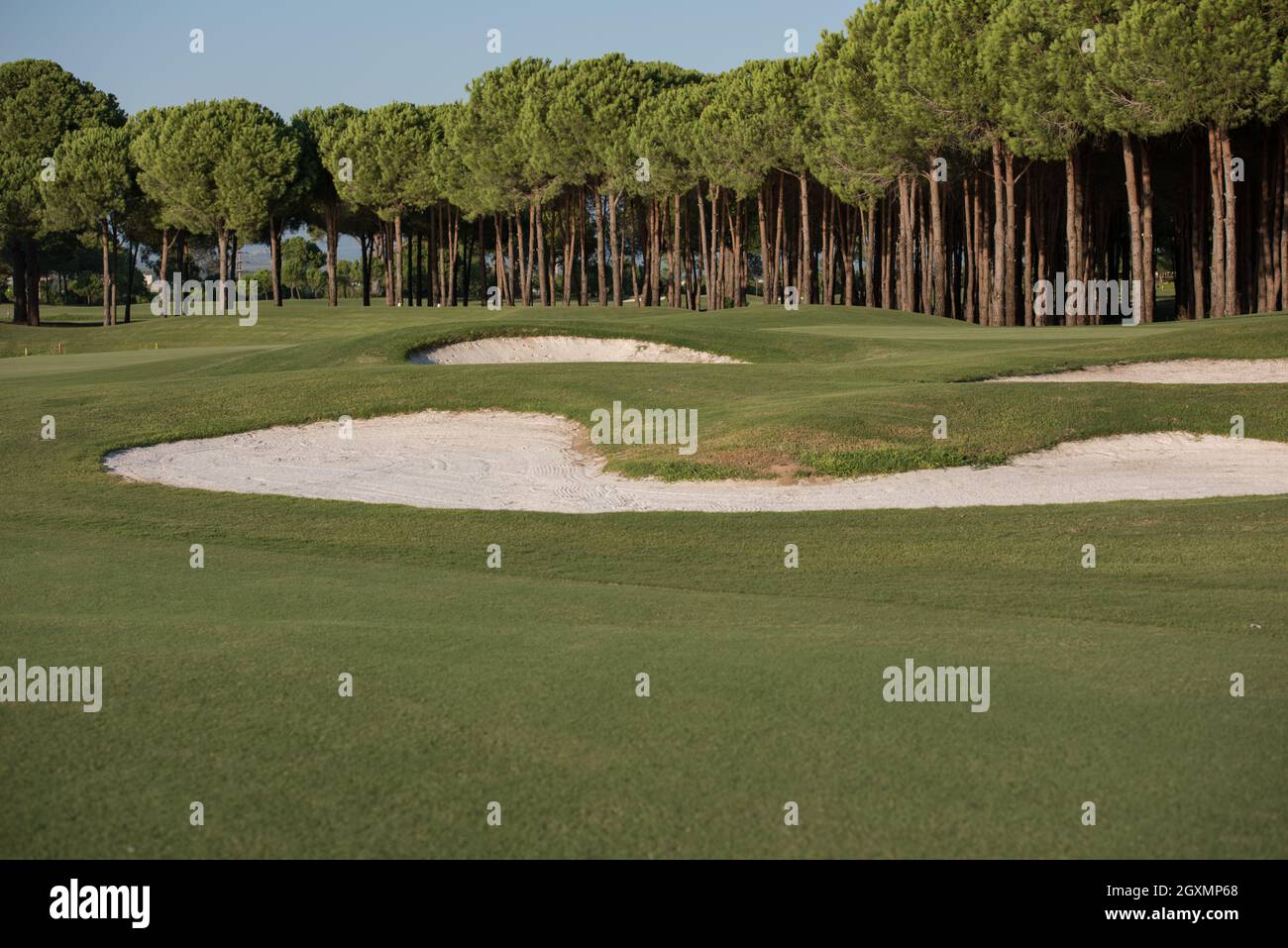 golf course with fresh green grass at beautiful sunny day Stock Photo ...