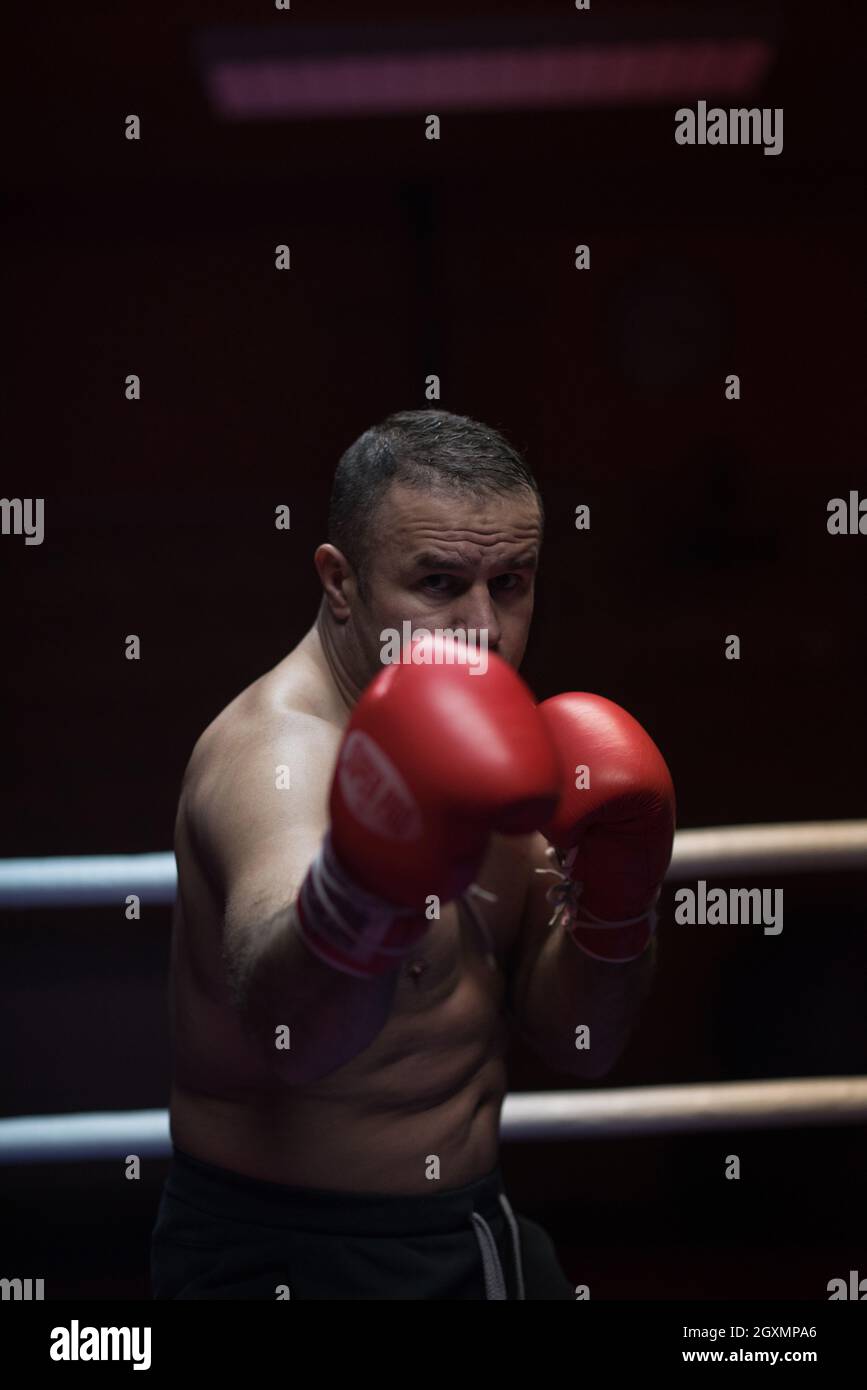 professional kickboxer with hands in martial arts position training for ...