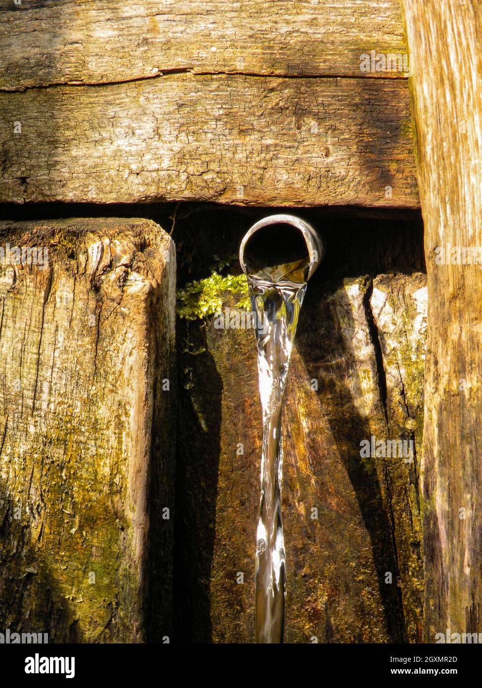 Natural village spring with clean drinking water. Water flows from an ...