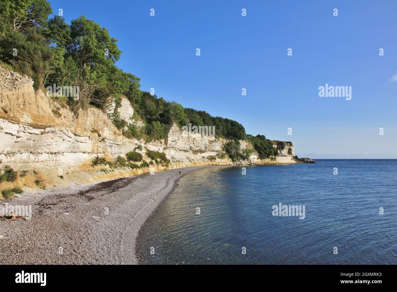 High chalk cliff at the Baltic sea, Denmark Stock Photo - Alamy