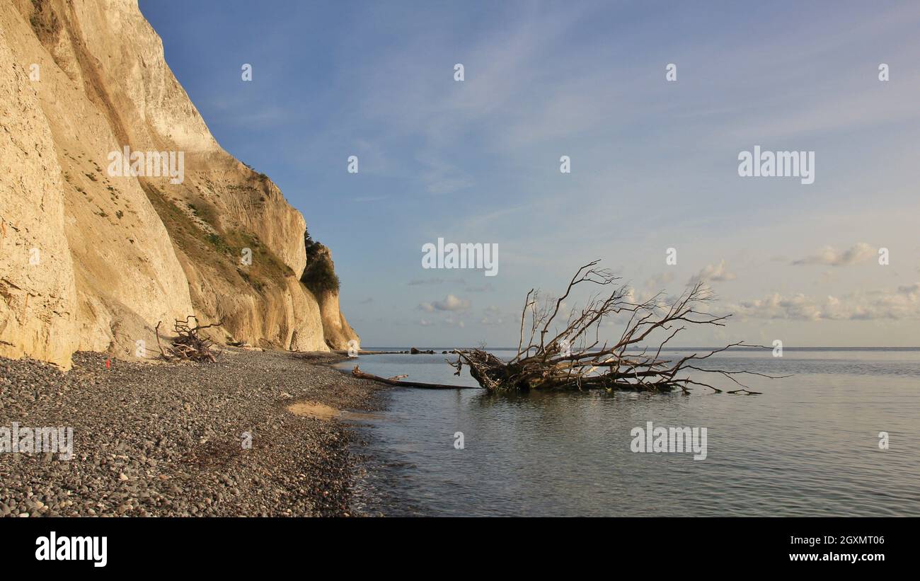 Unique landscape at the east coast of Denmark Stock Photo - Alamy