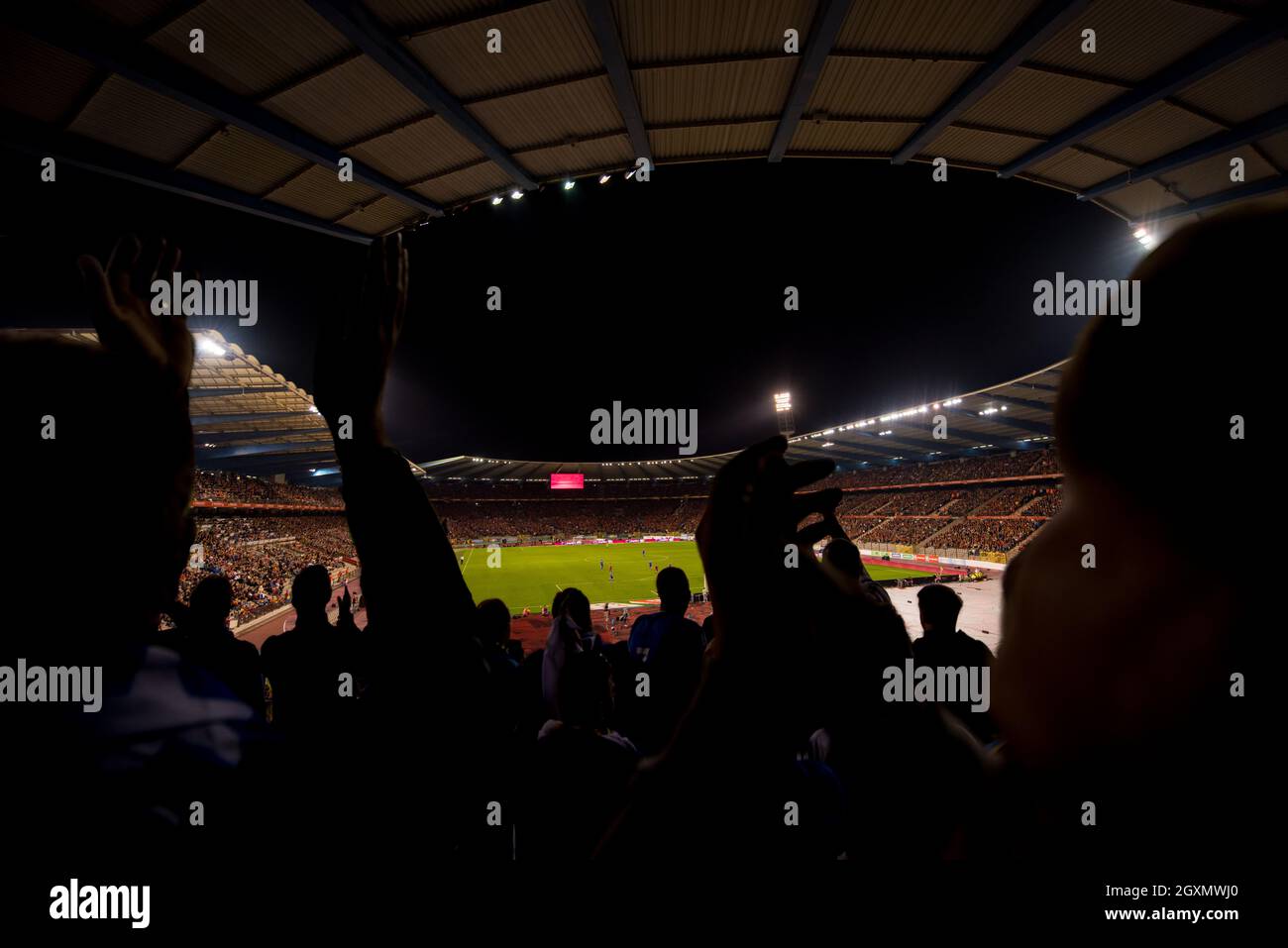group of football, soccer fans support their favorite sports team and ...