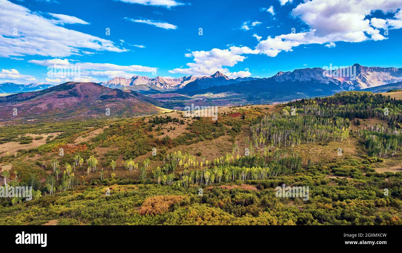 Large forest with line of aspen tree and beautiful mountain range in ...