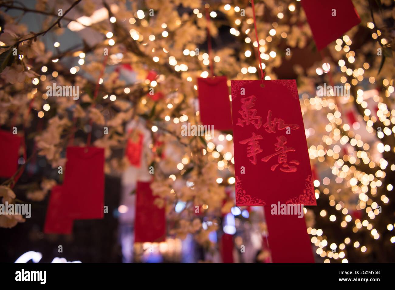 red cards with messages on the traditional Japanese wishing tree Stock ...