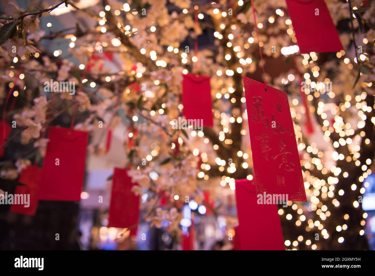 red cards with messages on the traditional Japanese wishing tree Stock ...