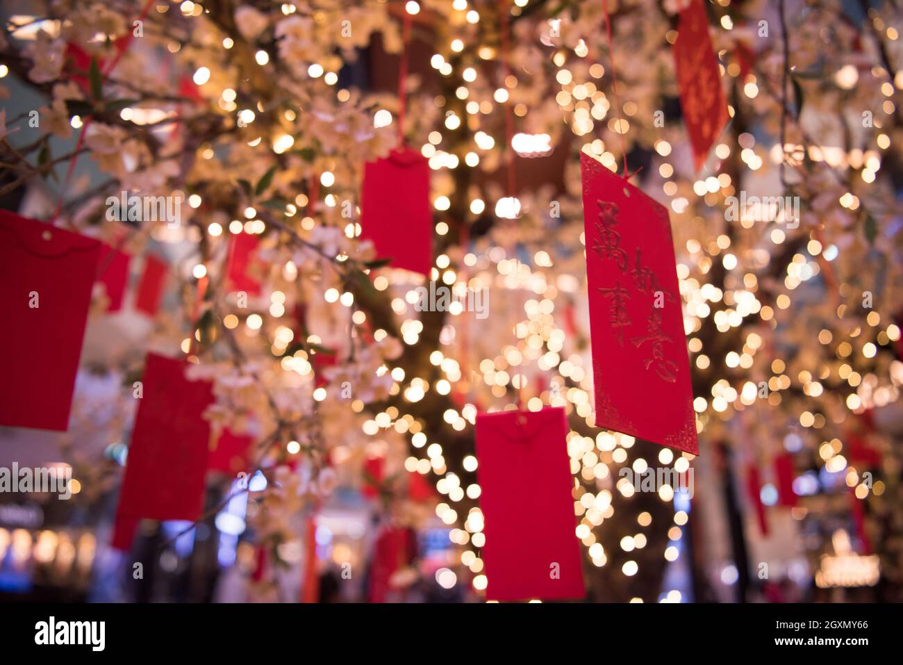 red cards with messages on the traditional Japanese wishing tree Stock ...