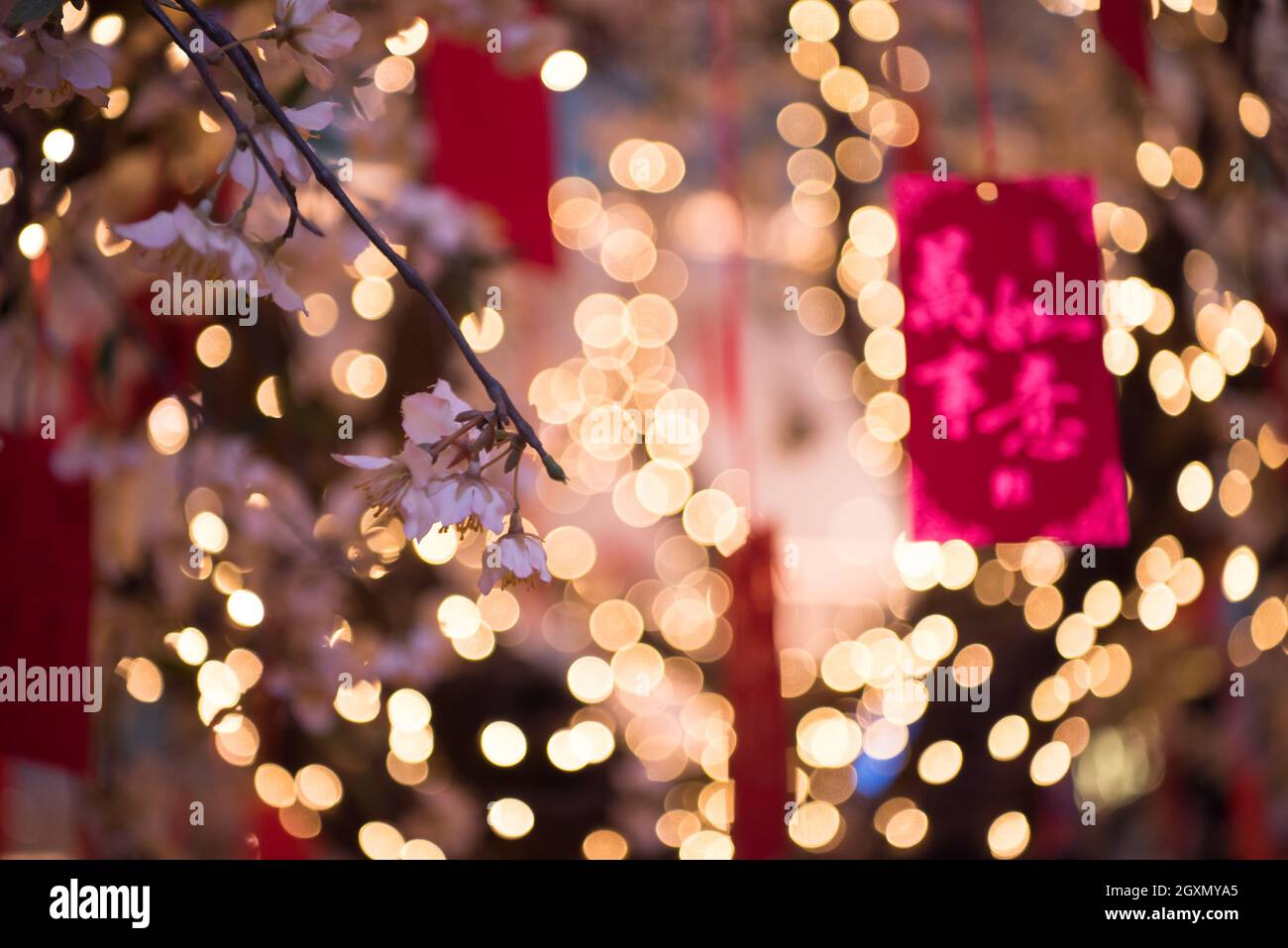 red cards with messages on the traditional Japanese wishing tree Stock ...