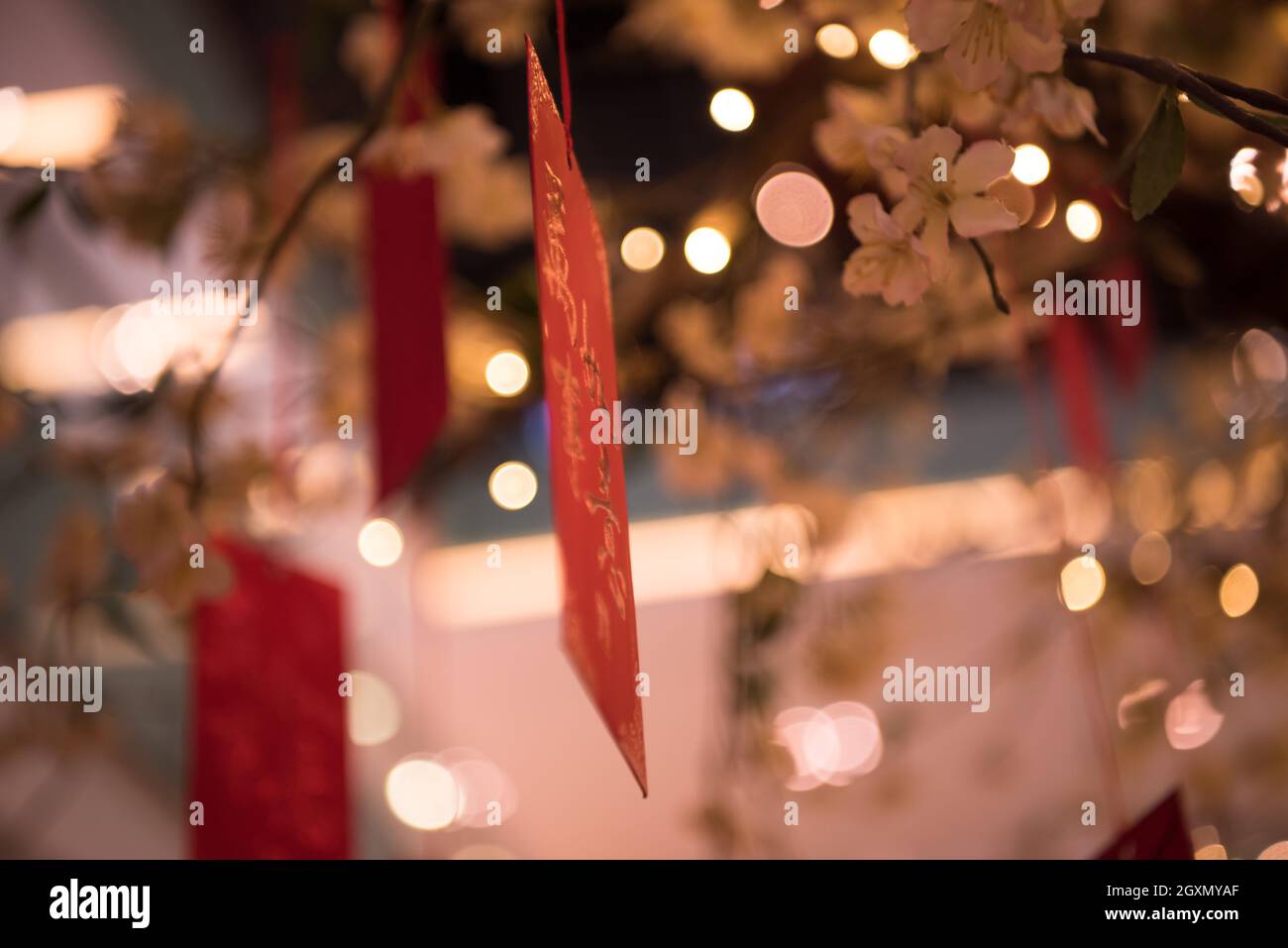 red cards with messages on the traditional Japanese wishing tree Stock ...