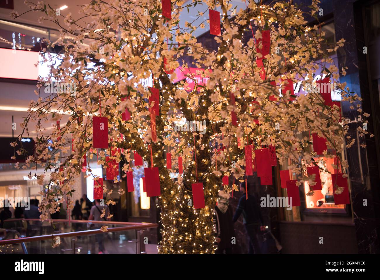 red cards with messages on the traditional Japanese wishing tree Stock ...