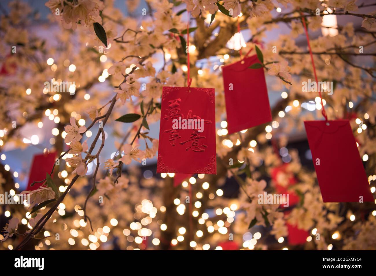 red cards with messages on the traditional Japanese wishing tree Stock ...