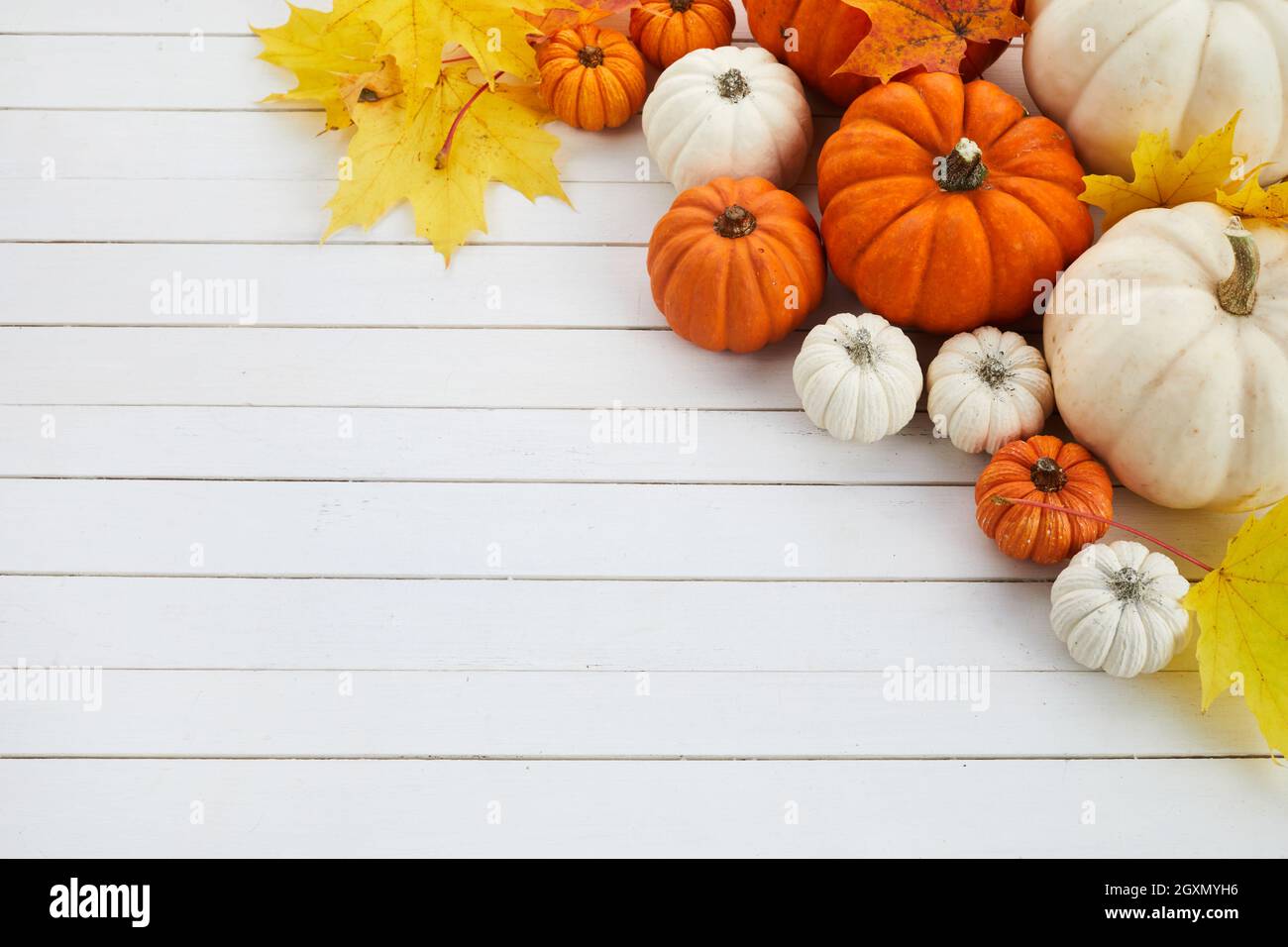 Autumn framework from pumpkins, berries and leaves on a travertine ...