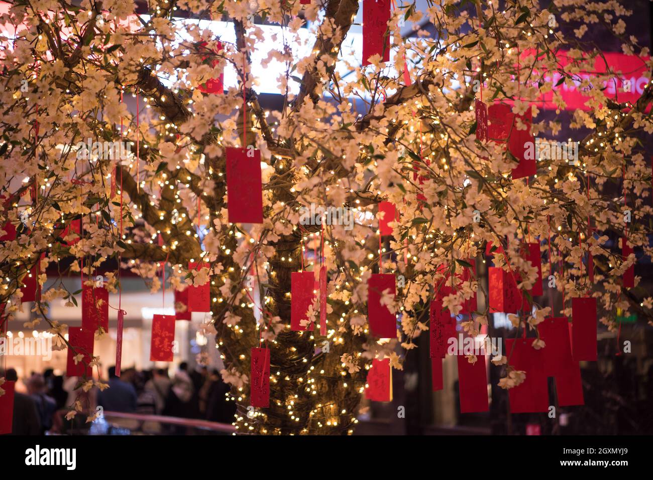 red cards with messages on the traditional Japanese wishing tree Stock ...