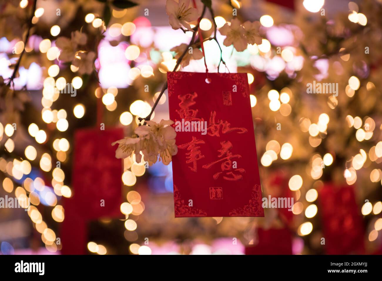 red cards with messages on the traditional Japanese wishing tree Stock ...