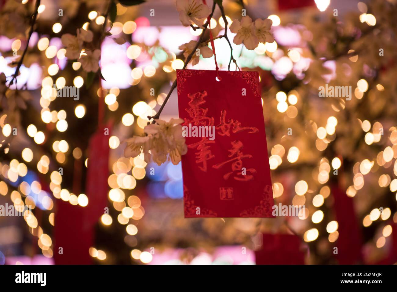 red cards with messages on the traditional Japanese wishing tree Stock ...