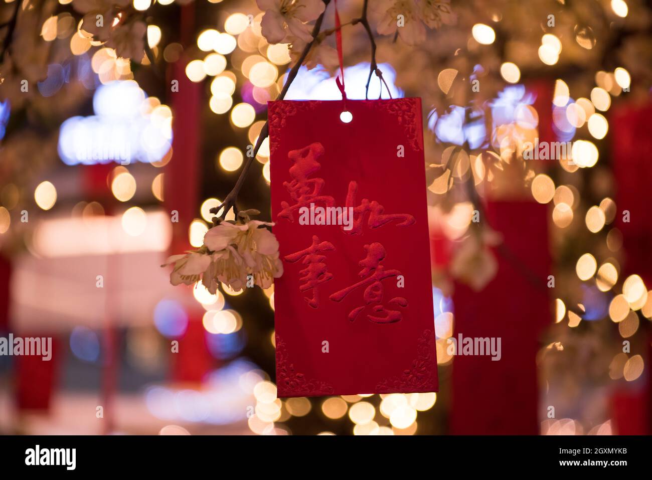 red cards with messages on the traditional Japanese wishing tree Stock ...