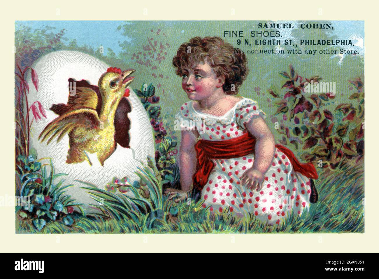 Samuel Cohen - Hatching Stock Photo - Alamy