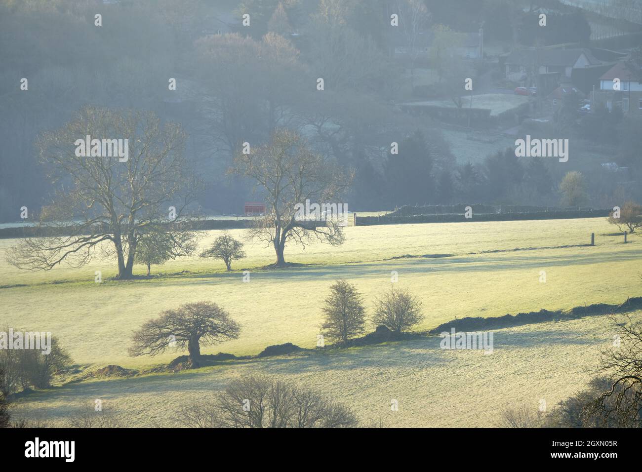 Green field trees hi-res stock photography and images - Alamy