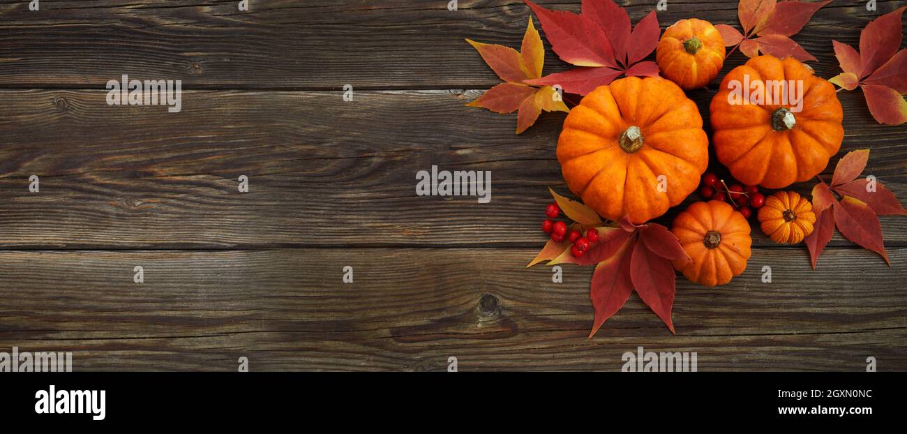 Framework pumpkins fall leaves hi-res stock photography and images - Alamy