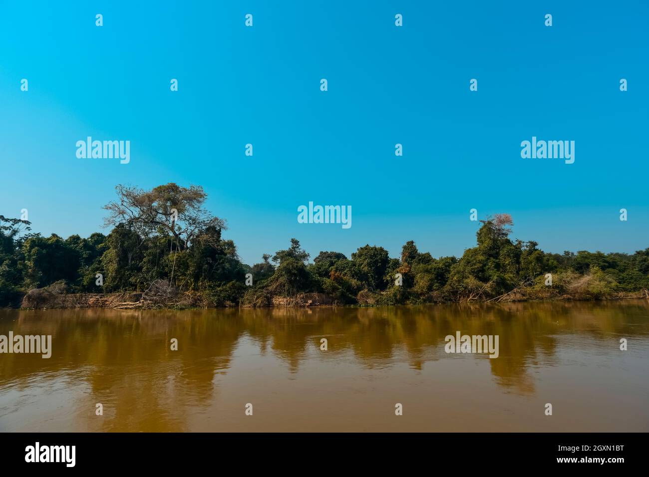 Cuiabá river landscape, Pantanal Forest , Mato grosso, Brazil Stock ...