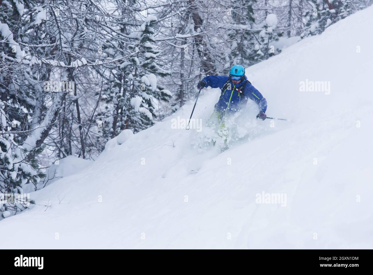 extreme freeride skier skiing on fresh powder snow in forest downhill ...