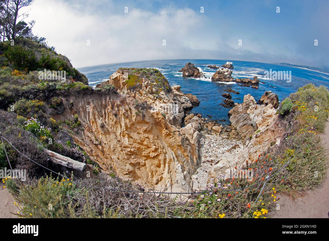 WhalerÕs Cove coastal trail at the Point Lobos State Natural Reserve ...