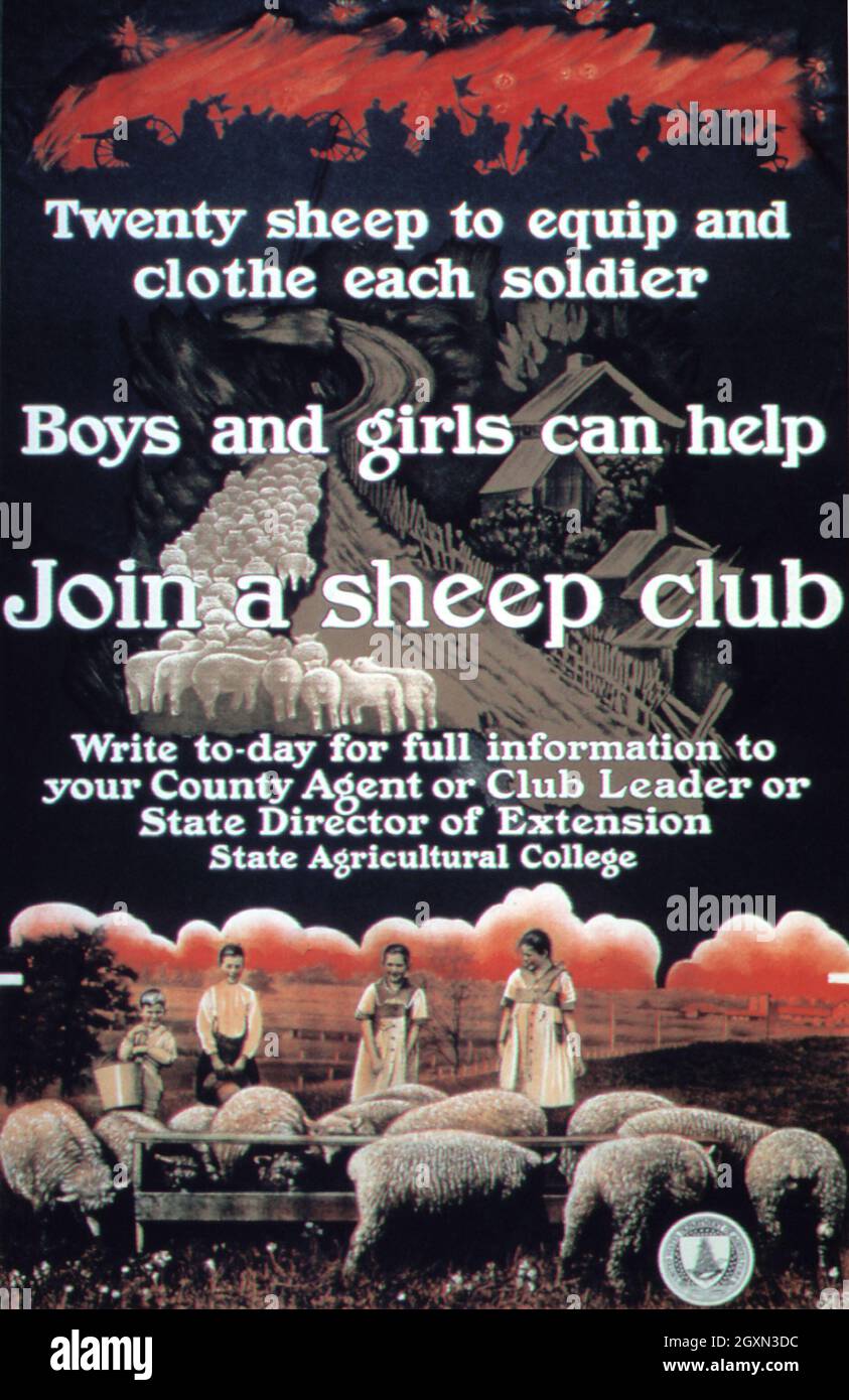 Join A Sheep Club Stock Photo - Alamy