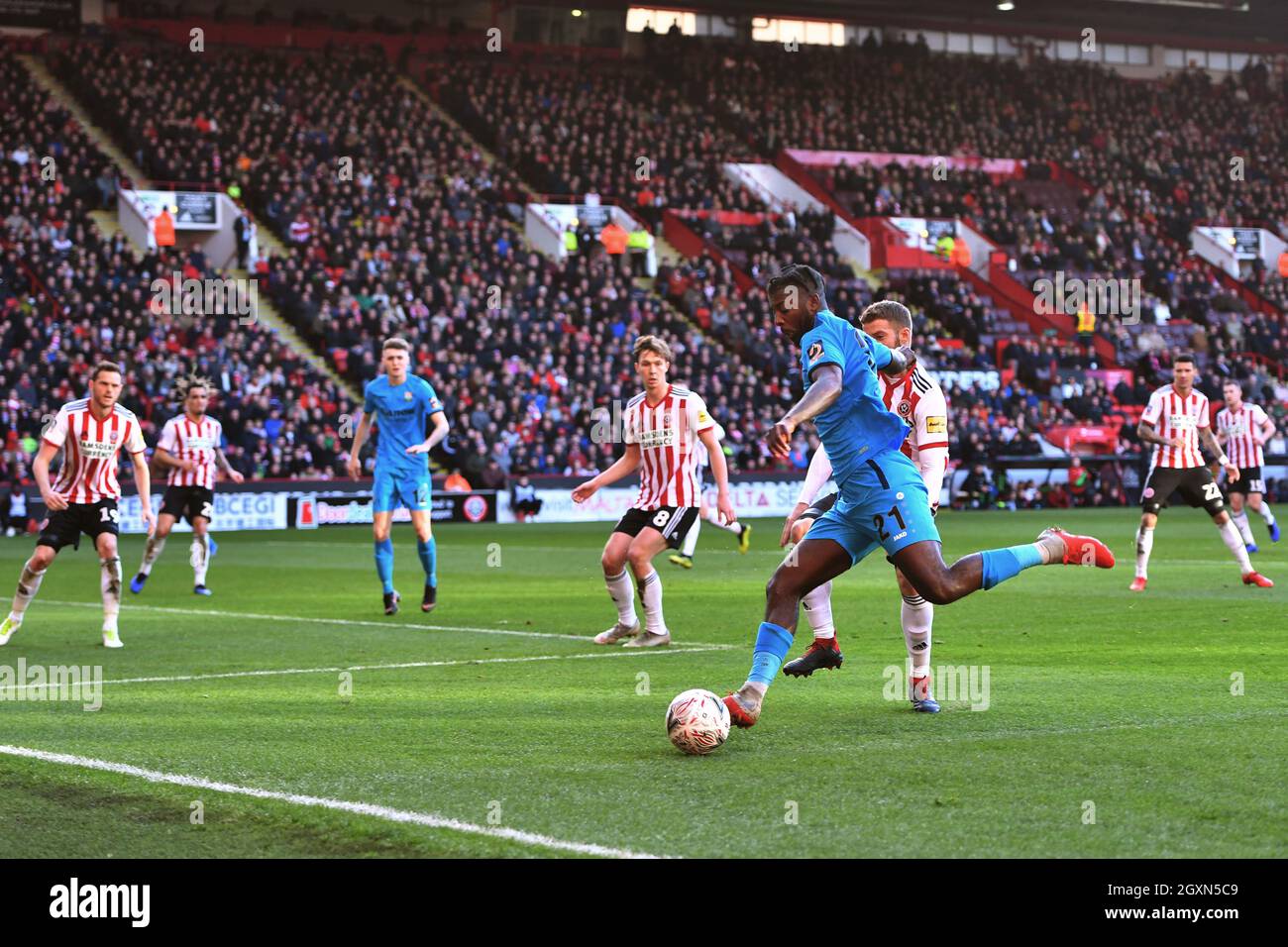 Medy elito hi-res stock photography and images - Alamy